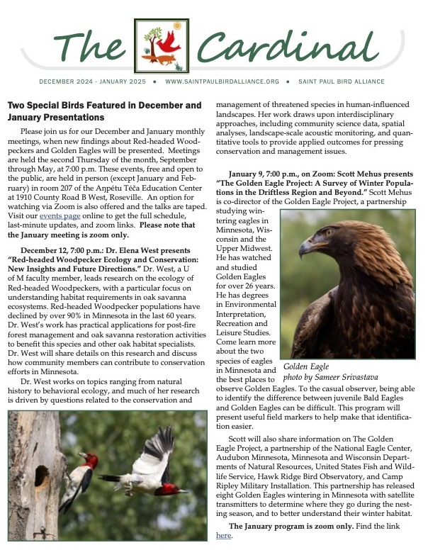 December - January 2025 Cardinal - Saint Paul Bird Alliance