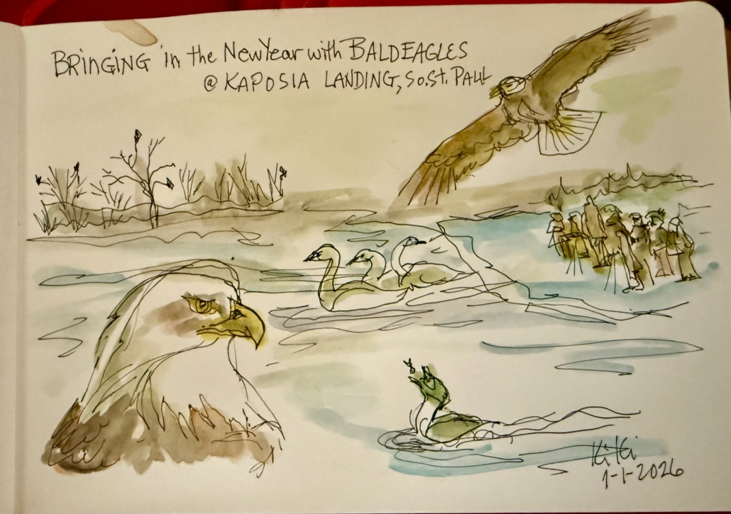 Bird's Eye View - January 2026 - Saint Paul Bird Alliance